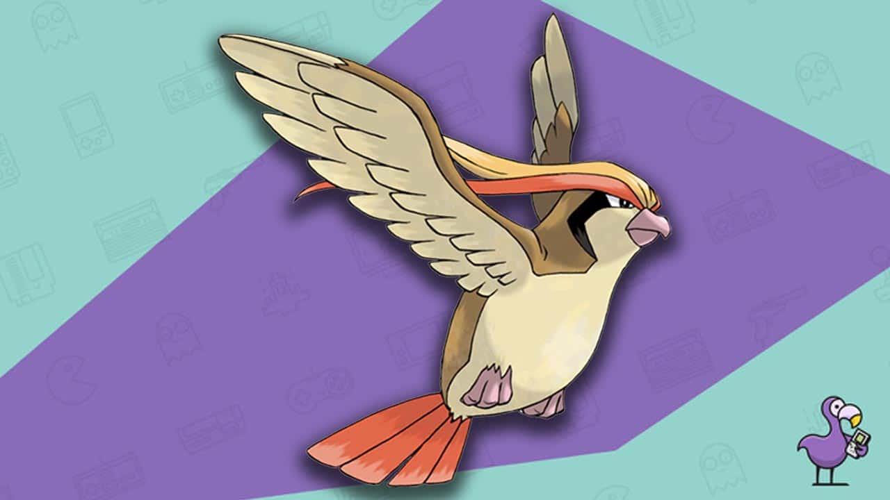 15 Best Bird Pokemon Of All Time