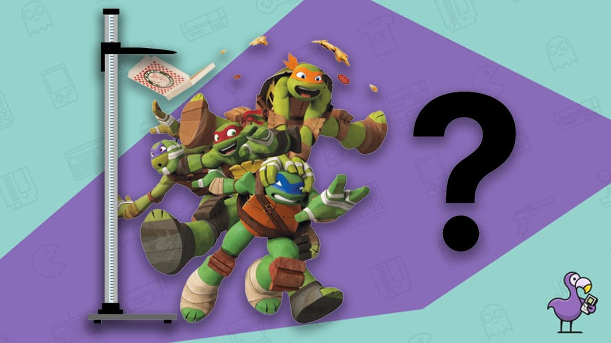 How Tall Are The Ninja Turtles?