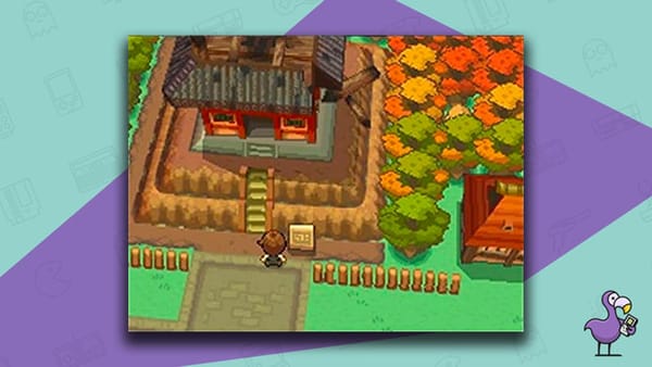 12 Rare Nintendo DS Games & How Much They're Worth