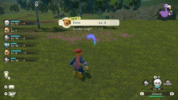 How To Get Eevee In Pokemon Legends: Arceus